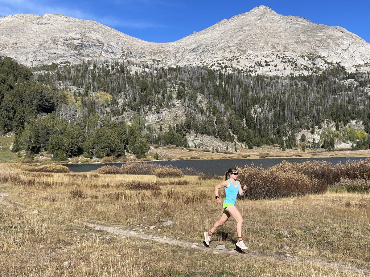 Dandelion Dilluvio-Scott - Lander Running Coach – Team RunRun